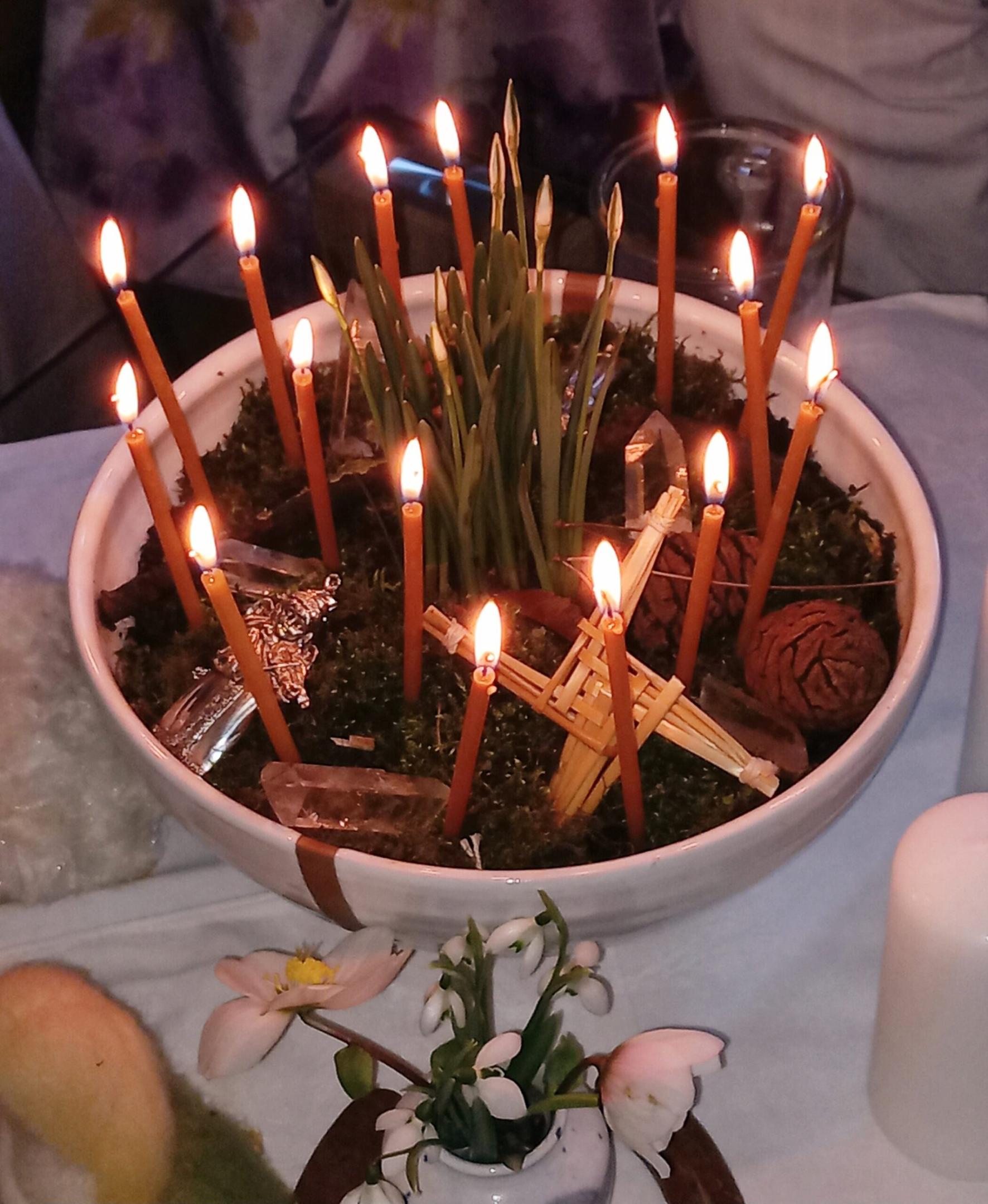 Imbolc mit Fliegenpilz - Zeremonie 31.01.2026 - Schamanismus Ayahuasca ...